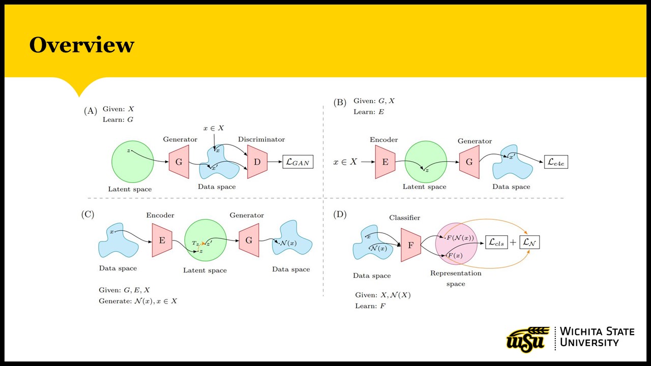 Deep Generative Views to Mitigate Gender Classification Bias Across Gender-Race Groups | NSF Project